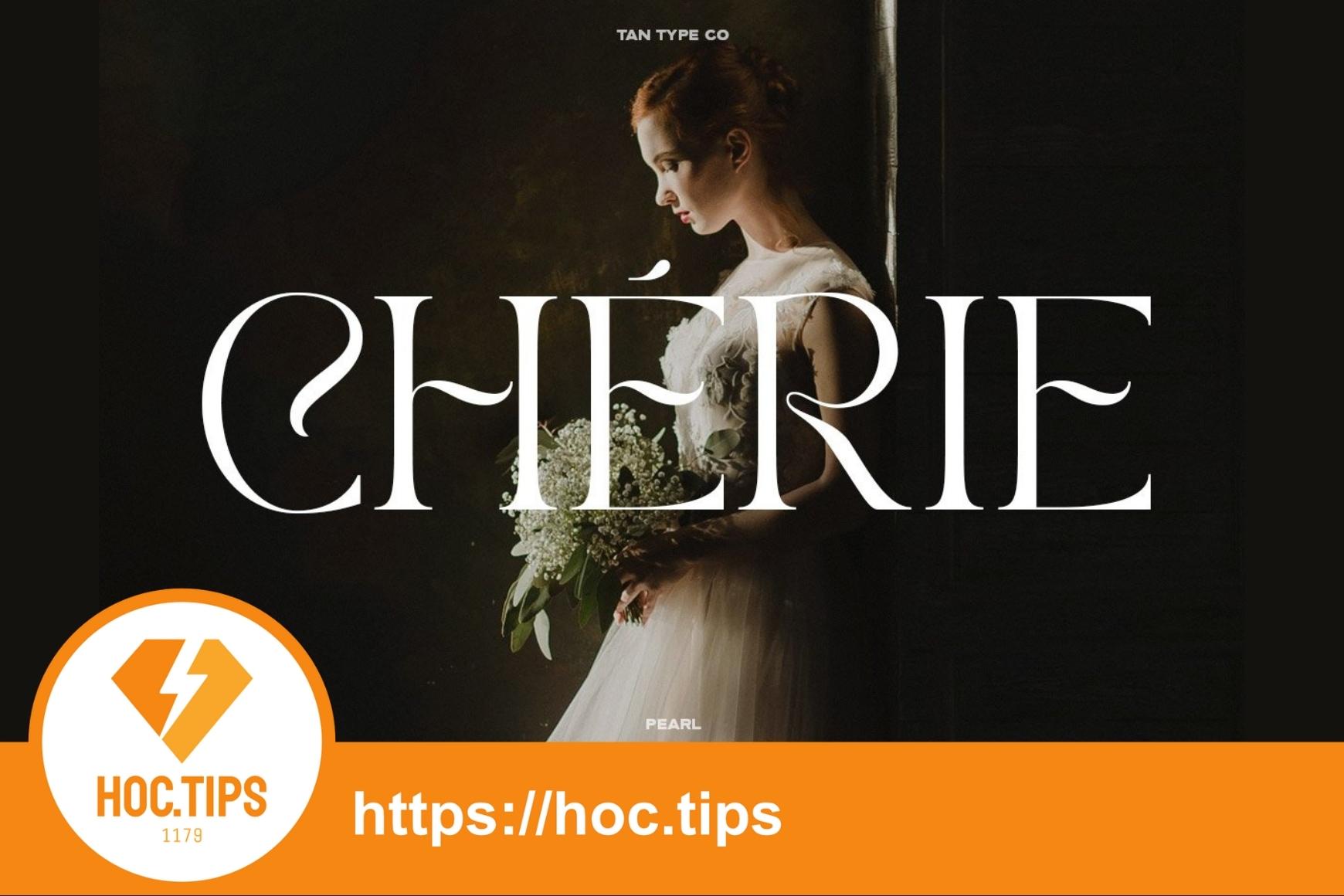 Bộ Font Tan Type (việt hóa) với đường nét uốn lượn độc đáo - Hoc.Tips